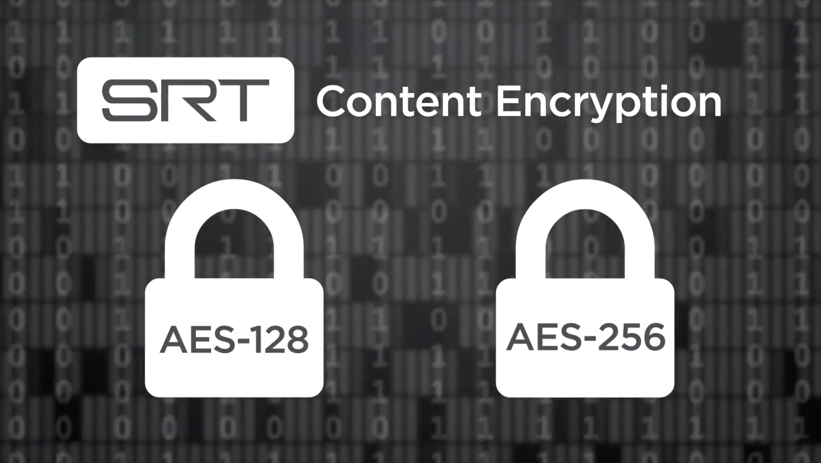 SRT の基礎 | PANDA TIMES（パンダタイムス）